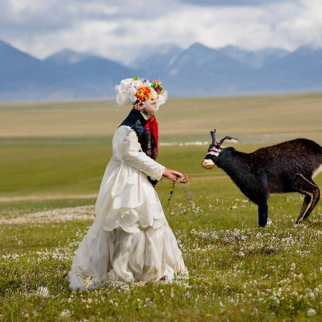 Goat wedding 60 photos - Astyledwedding.com