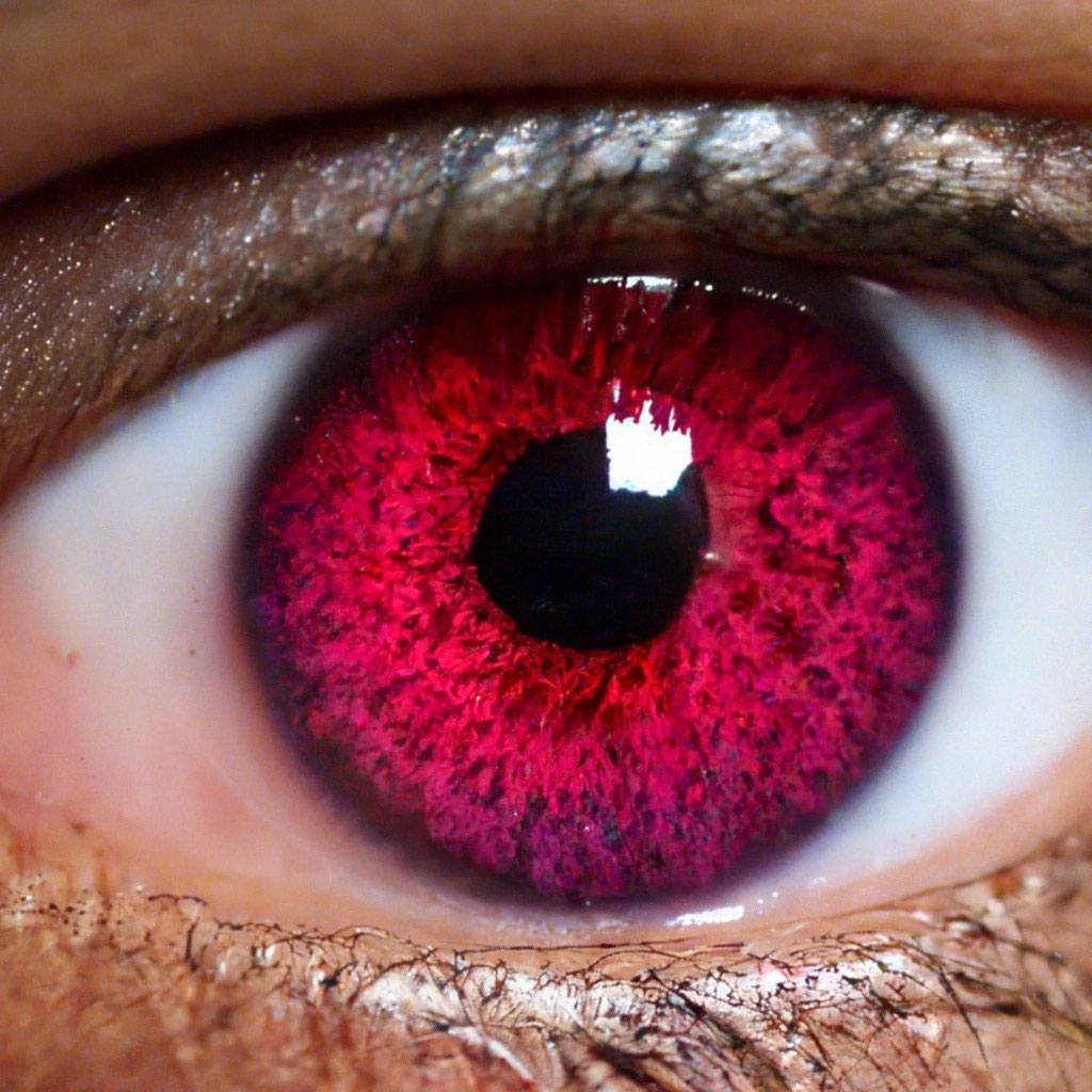 "Cherry-colored eyes, high detail" — image created in Shedevrum