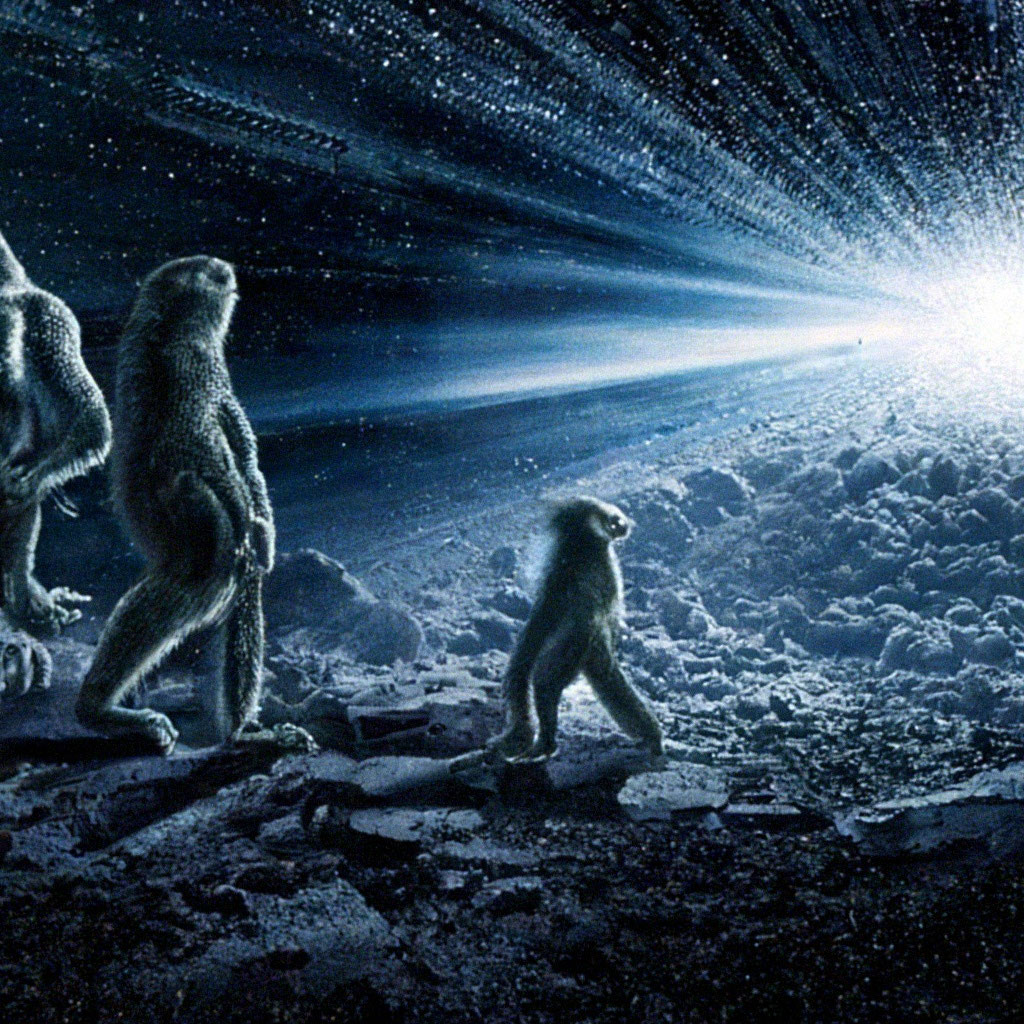 Moon Monolith Monkeys From Mist Shrouded Mountains To A Baby Monkey