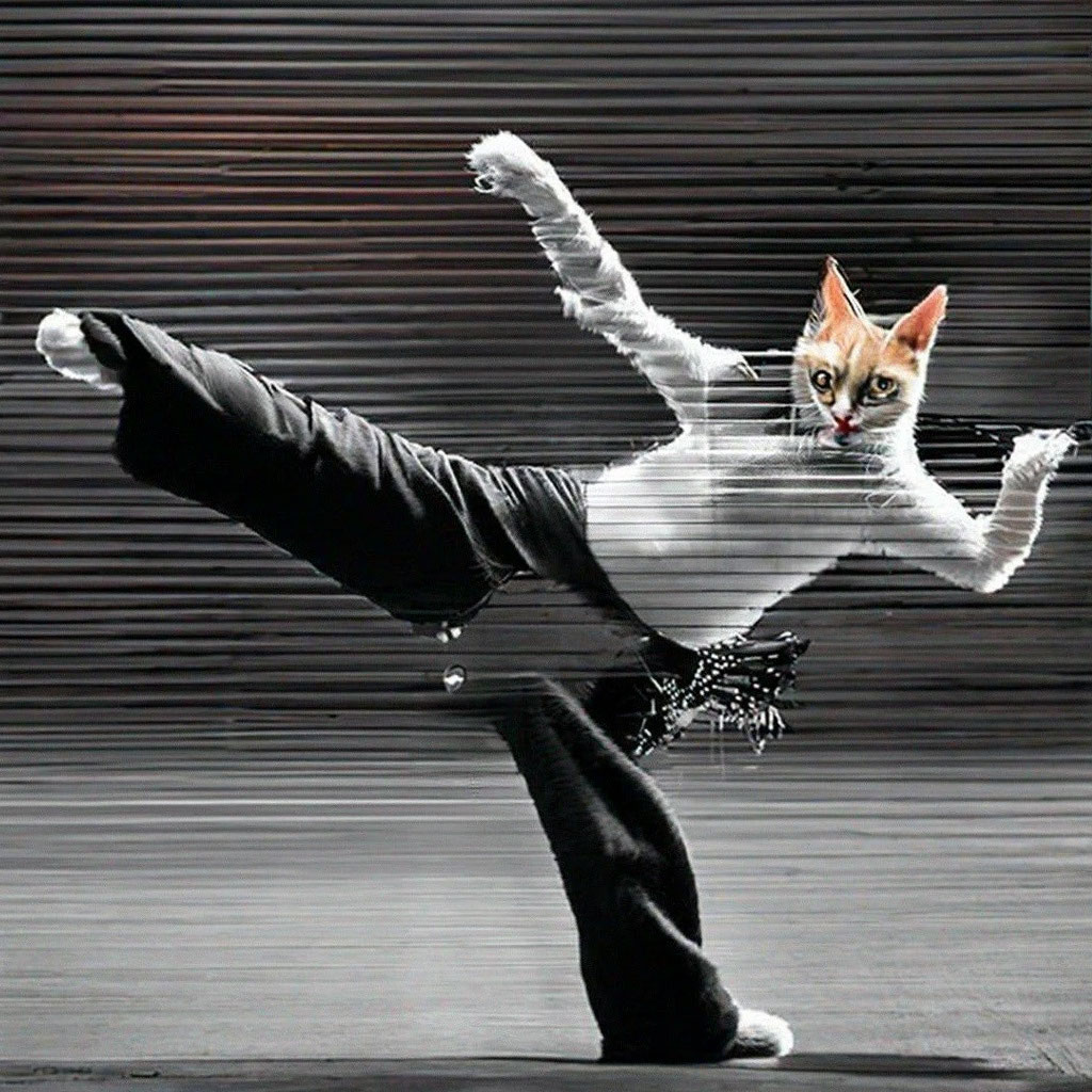 Gatos Bailando Breakdance
