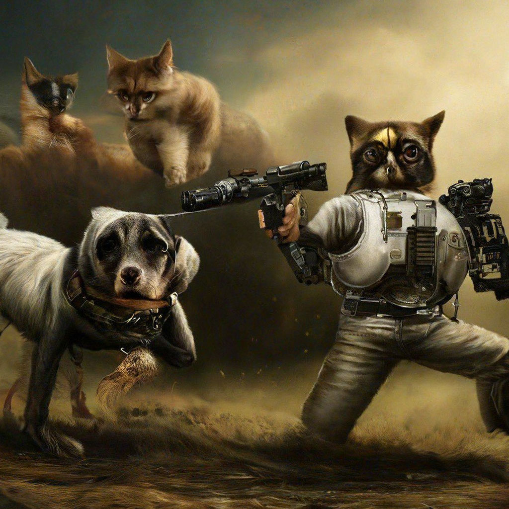Dogs With Guns Vs Cats With Guns TactiPets | Tactical Pets Made Cool