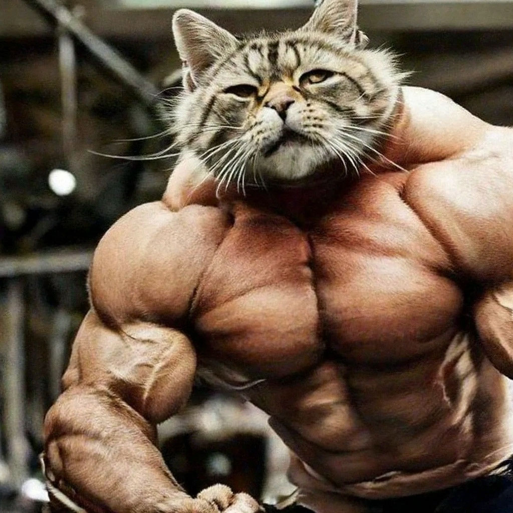 The Strongest Cat In The World
