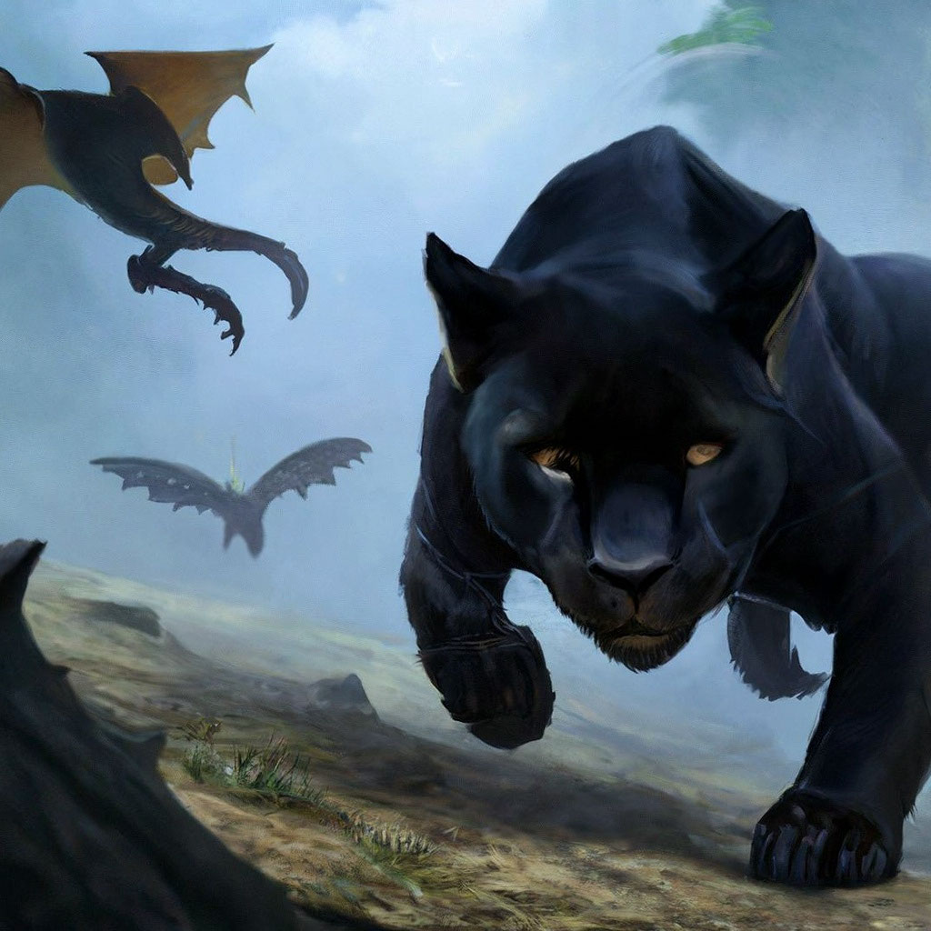 Pantera Negra Cazando Presa Caza De Panteras En El Bosque Sus Ojos