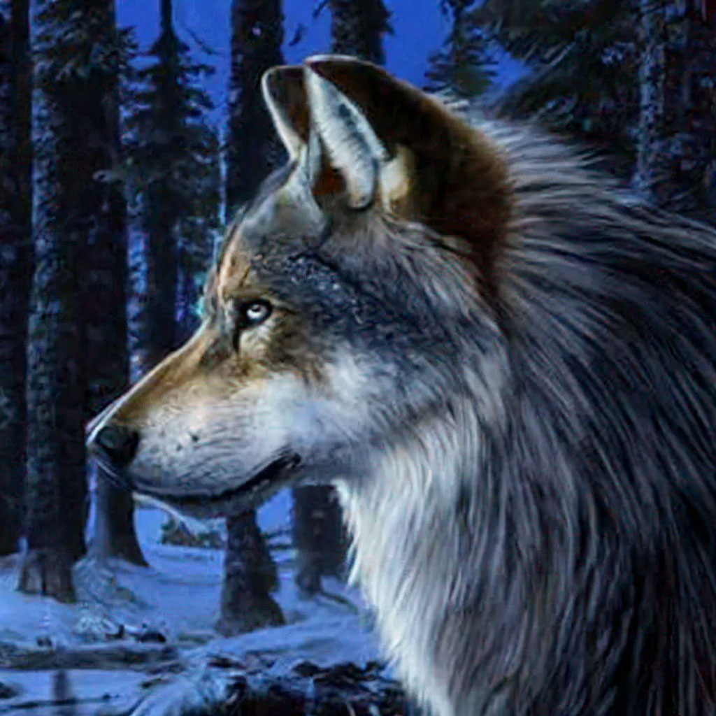 "Wolf in the forest at night, 8k ultra…" — image created in Shedevrum