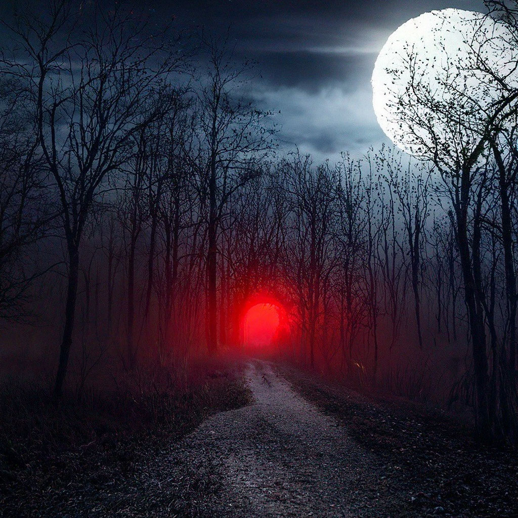 Red Moon And Trees