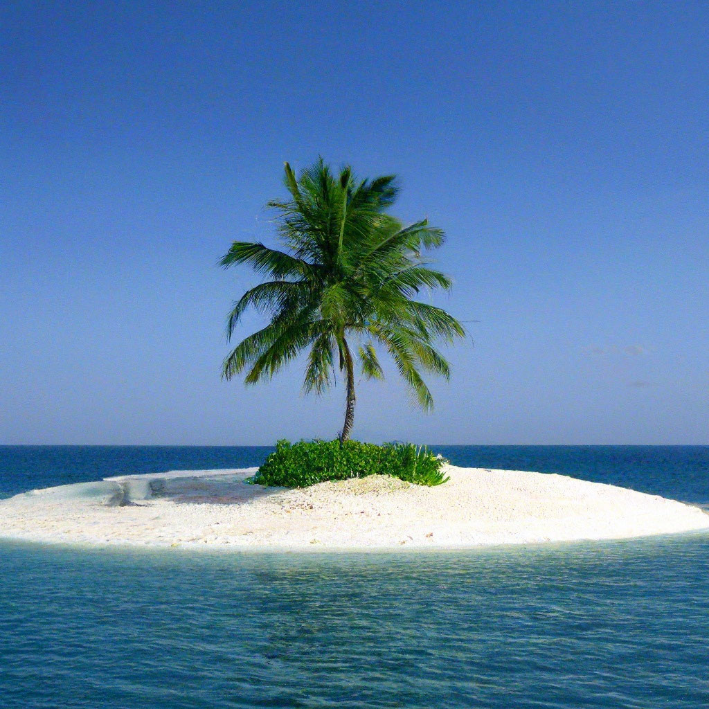 One Tree With Small Island